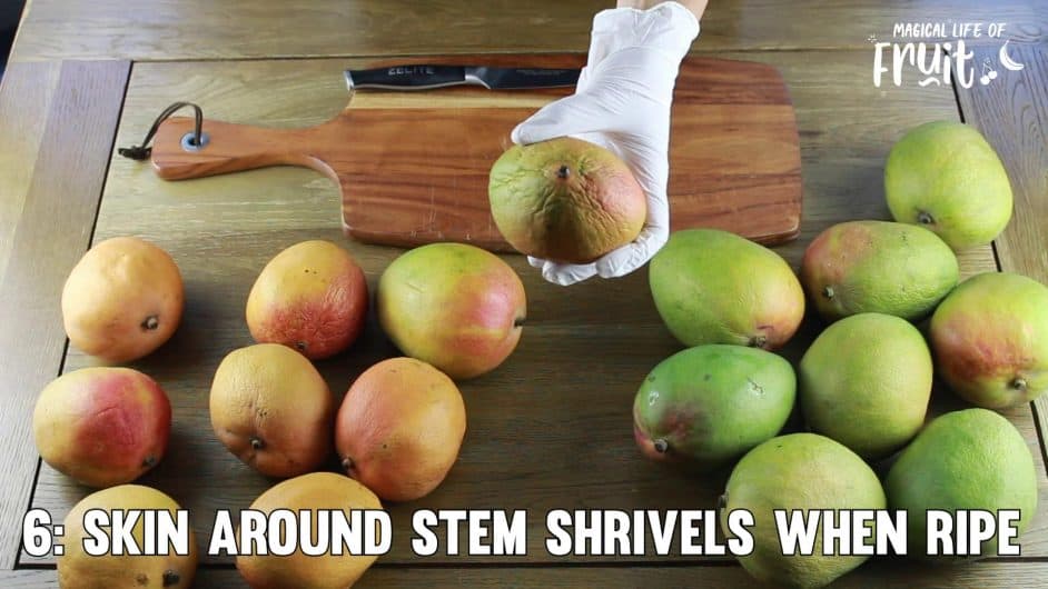 When Is A Mango Ripe? - 6 Easy Signs