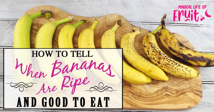 How To Tell When Bananas Are Ripe (And Good To Eat) – Magical Life Of Fruit