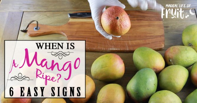 When Is A Mango Ripe | 6 Easy Signs * Vegan & Gluten-Free Meals Under ...