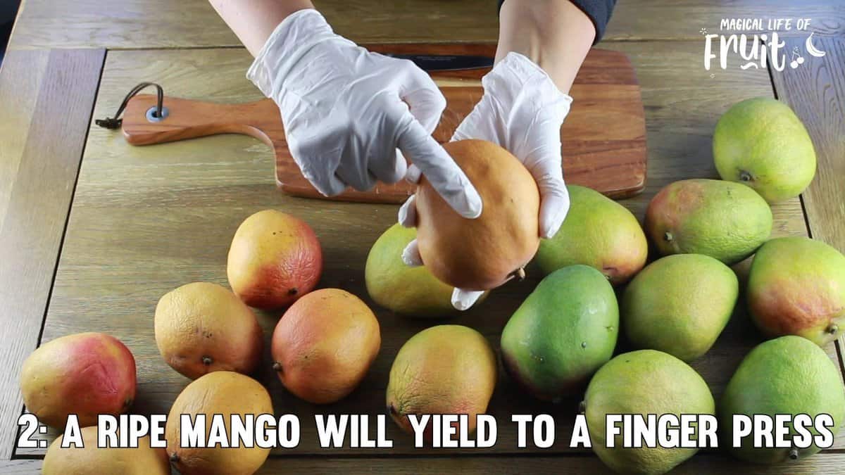 When Is A Mango Ripe | 6 Easy Signs * Vegan & Gluten-Free Meals Under ...
